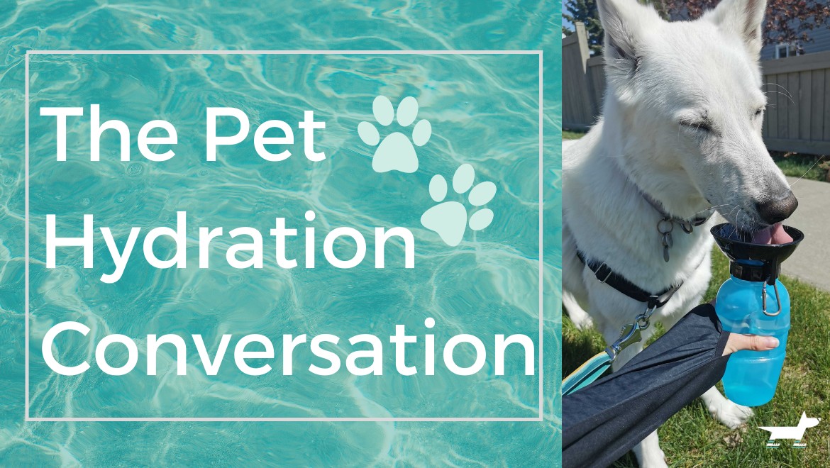 The Pet Hydration Conversation - Dog Jogs