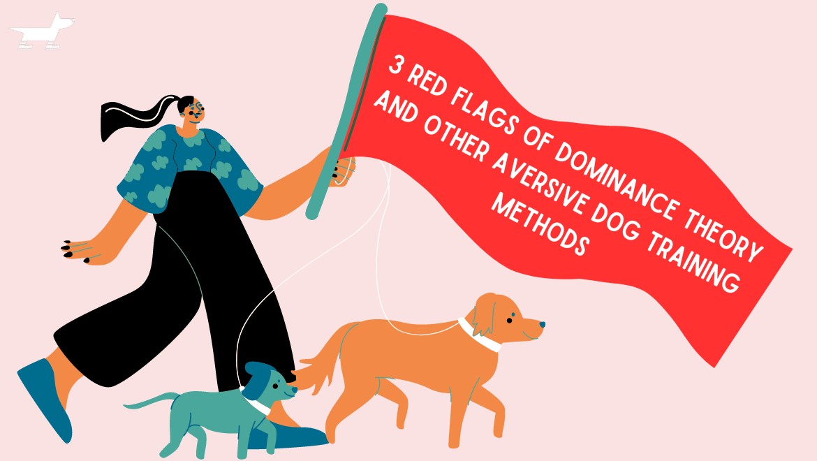 Dog Training Methods | Dog Training | Dog Jogs