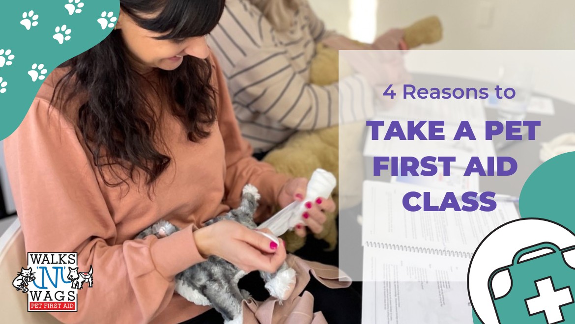 4 Reasons to Take a Pet First Aid Class - | Walks'N'Wags Pet First Aid ...