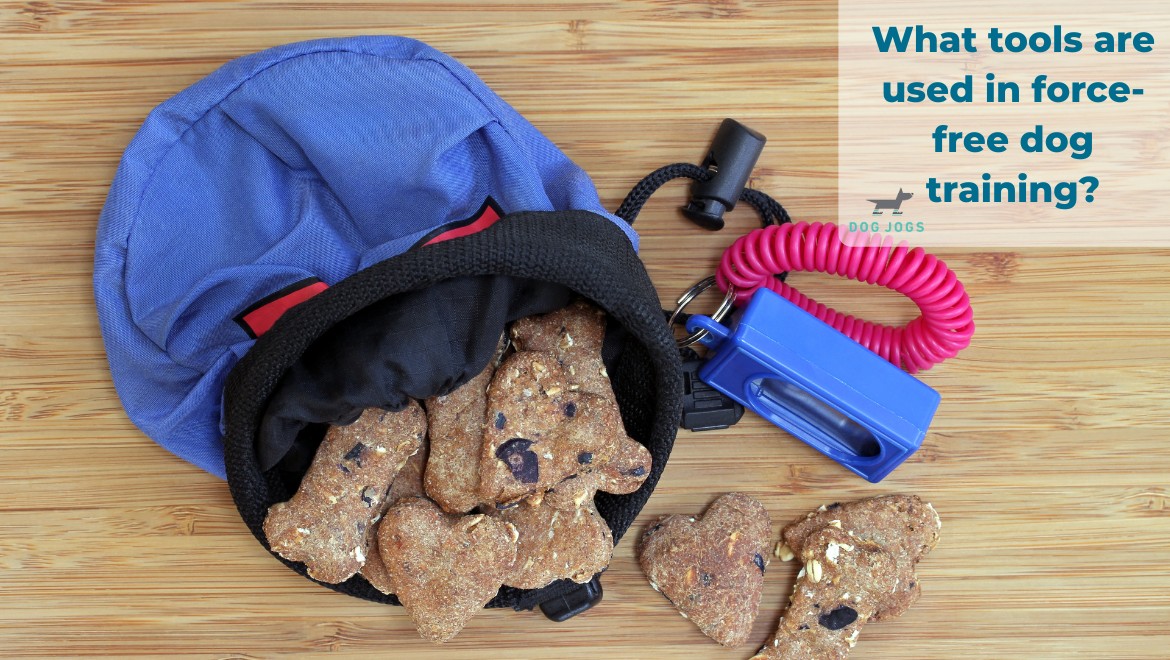 What tools are used in force-free dog training? | Dog Training | Dog Jogs