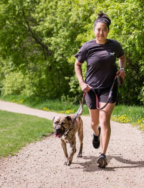 Dog Jogs - Dog Walking, Training and Cat Sitting in Edmonton, Sherwood ...